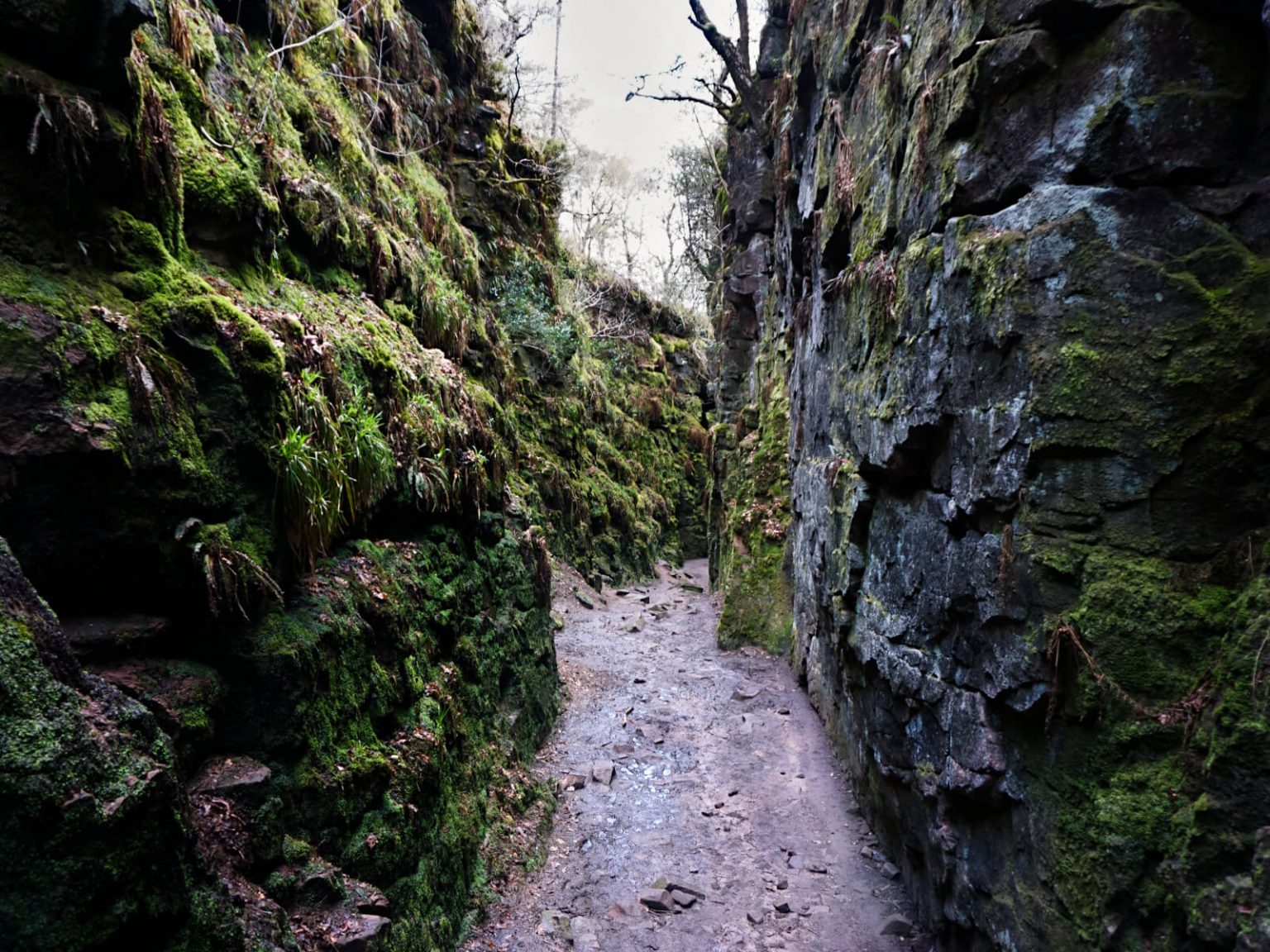 The Roaches Walk (Peak District): Map, Route & Full Guide