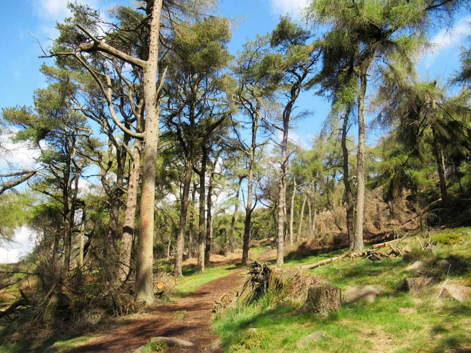 The Roaches Walk (Peak District): Map, Route & Full Guide