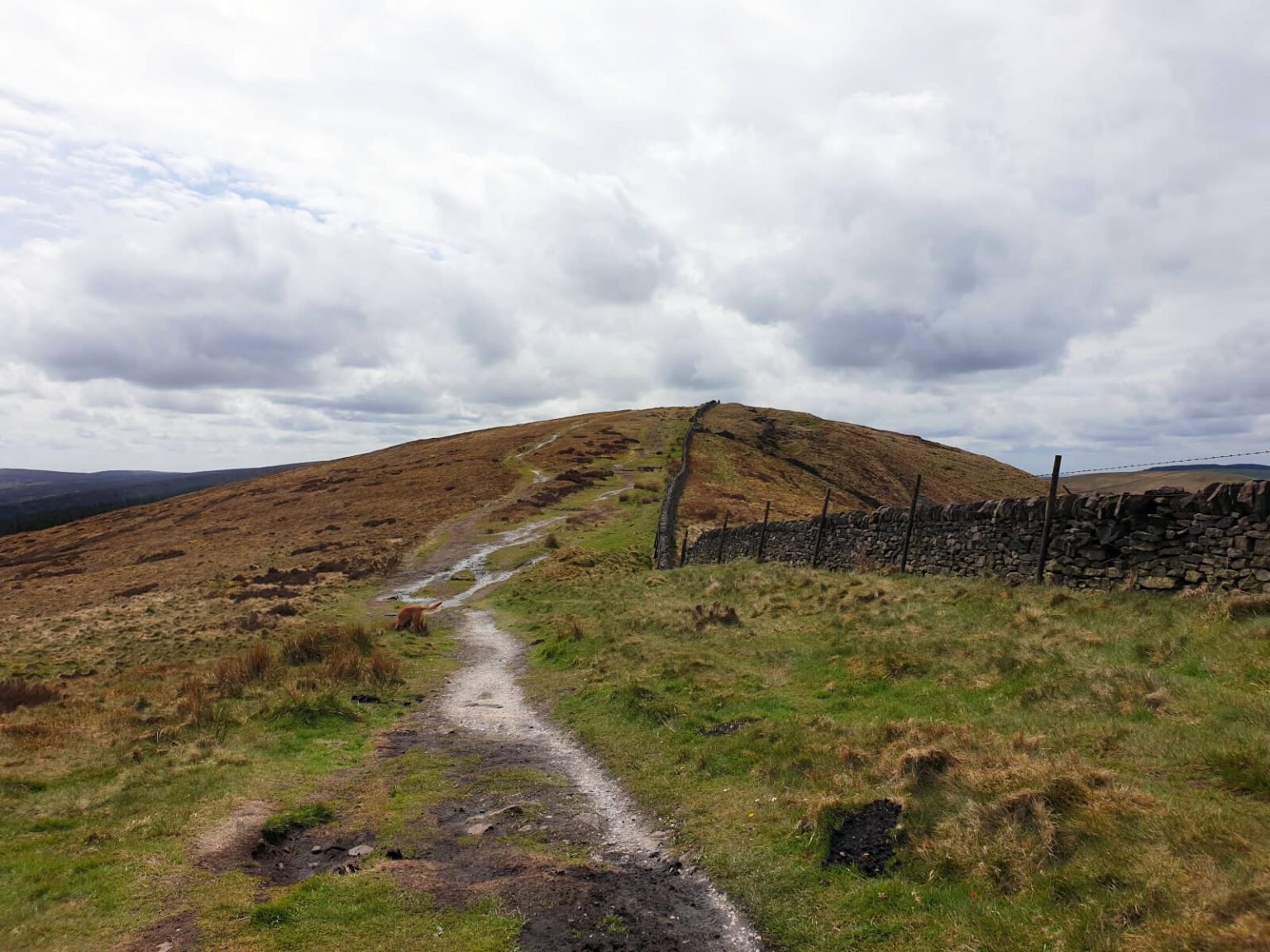 Shining Tor Walk (4 Straight and Circular Routes)