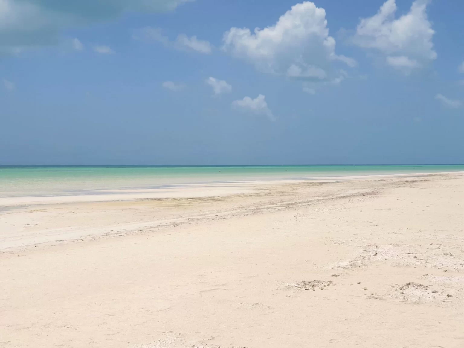 Punta Mosquito, Holbox: 2022 Ultimate Visitor's Guide