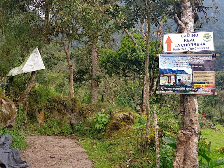 Cascada La Chorrera: Colombia's Tallest Waterfall (2024 Guide)