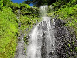 San Ramón Waterfall, Ometepe (100% Worth The Hike)