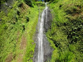 San Ramón Waterfall, Ometepe (100% Worth The Hike)