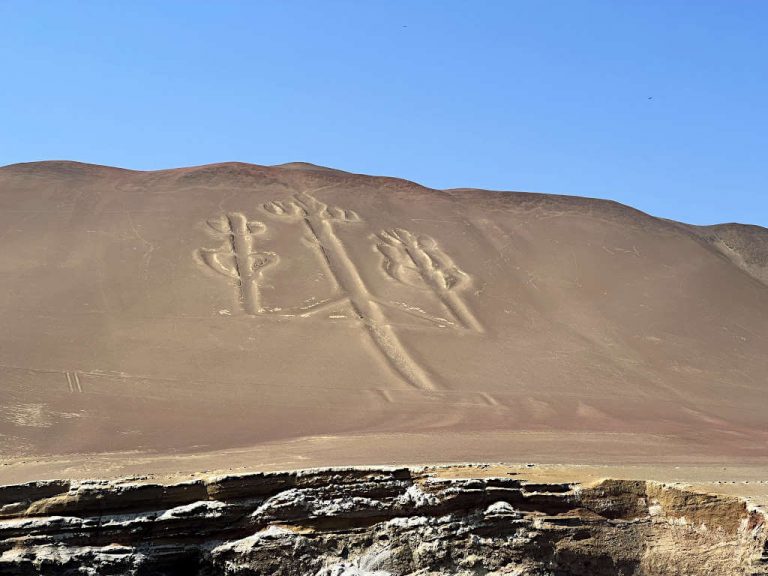 Poor Man's Galapagos Peru (Islas Ballestas, Paracas)